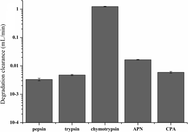 An Investigation into the Gastrointestinal Stability of Exenatide in ...