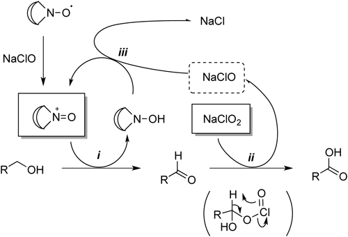 Discovery and Exploitation of AZADO: The Highly Active Catalyst for ...
