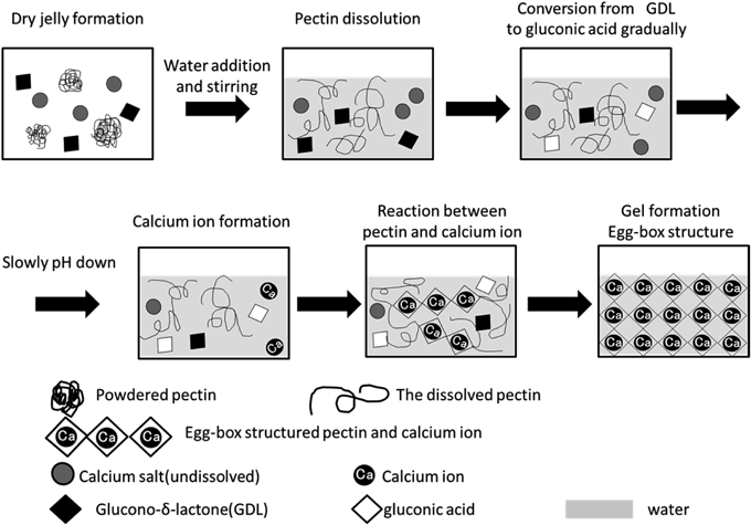 Gelation Factors of Pectin for Development of a Powder Form of Gel, Dry ...