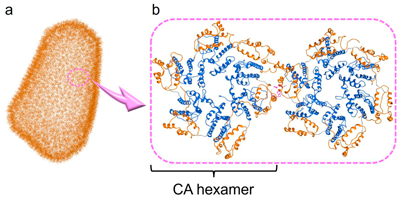 Development of Small-Molecule Anti-HIV-1 Agents Targeting HIV-1 Capsid ...